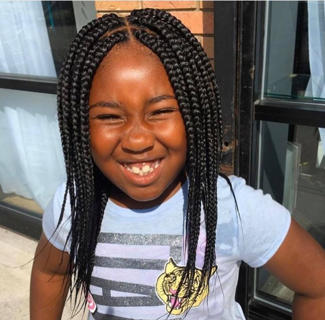 Delicate Braids for Fine Hair: African Styles Perfect for Little Crowns!