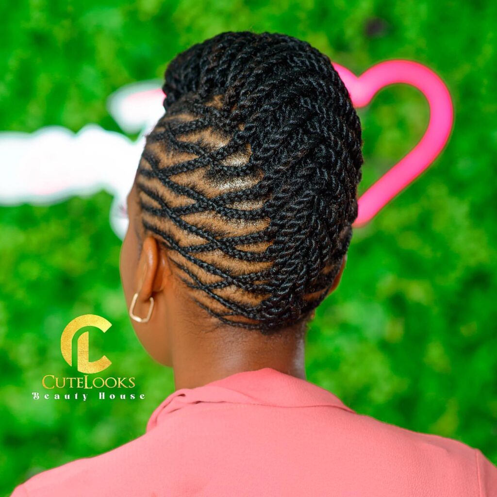 [GALLERY] 40 Captivating Braided Hairstyles for 2024: A Visual Tour