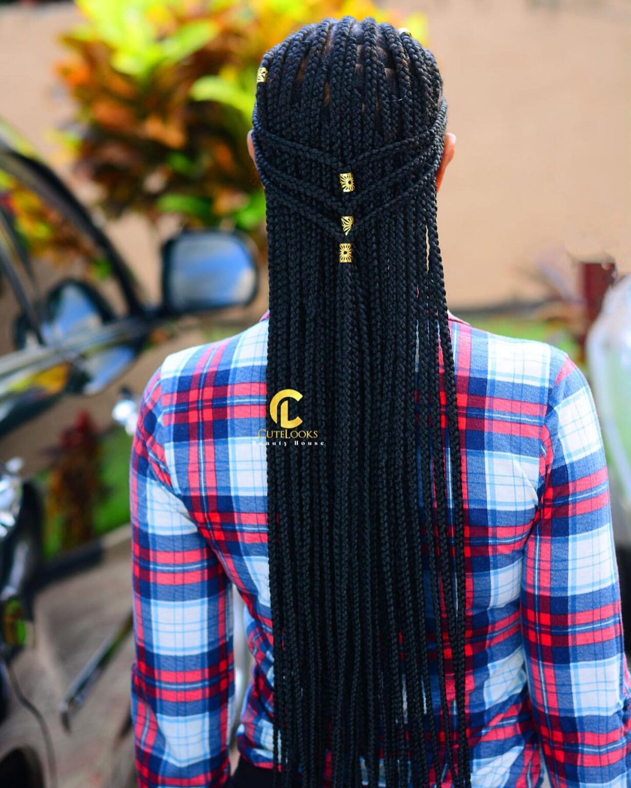 [GALLERY] 53 Braided Hairstyles 2024 Pictures