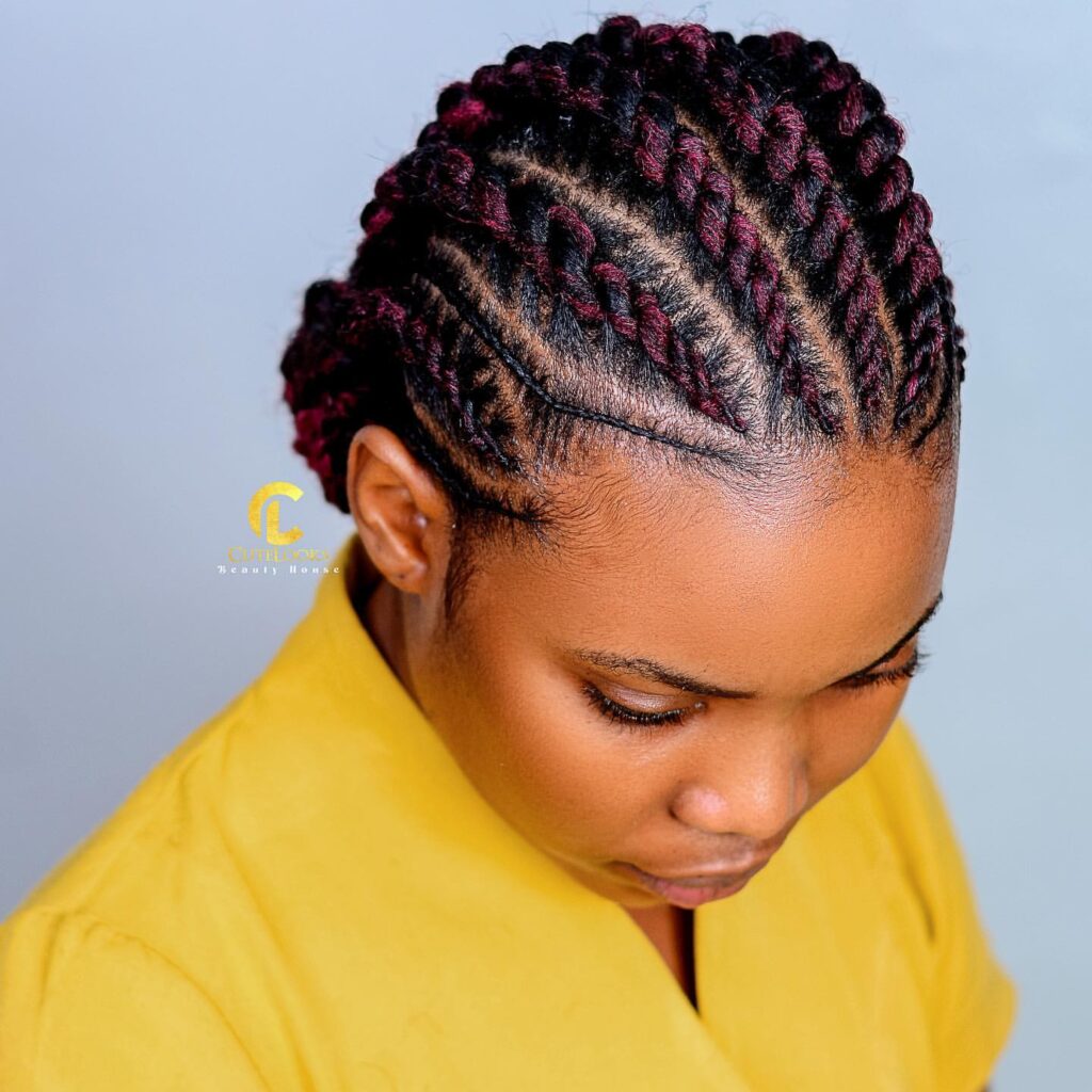[GALLERY] 53 Braided Hairstyles 2024 Pictures