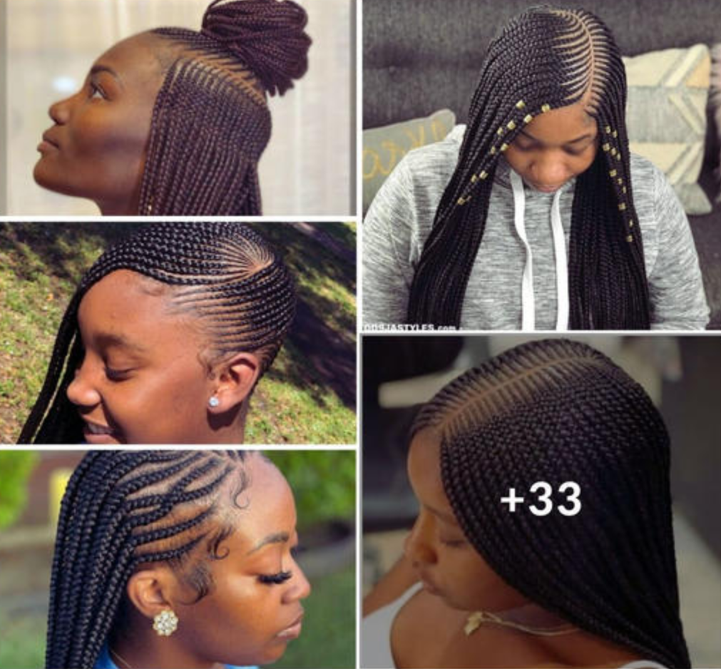 Gorgeous and Fascinating Braided Hairstyles for Black Hair – Braids ...