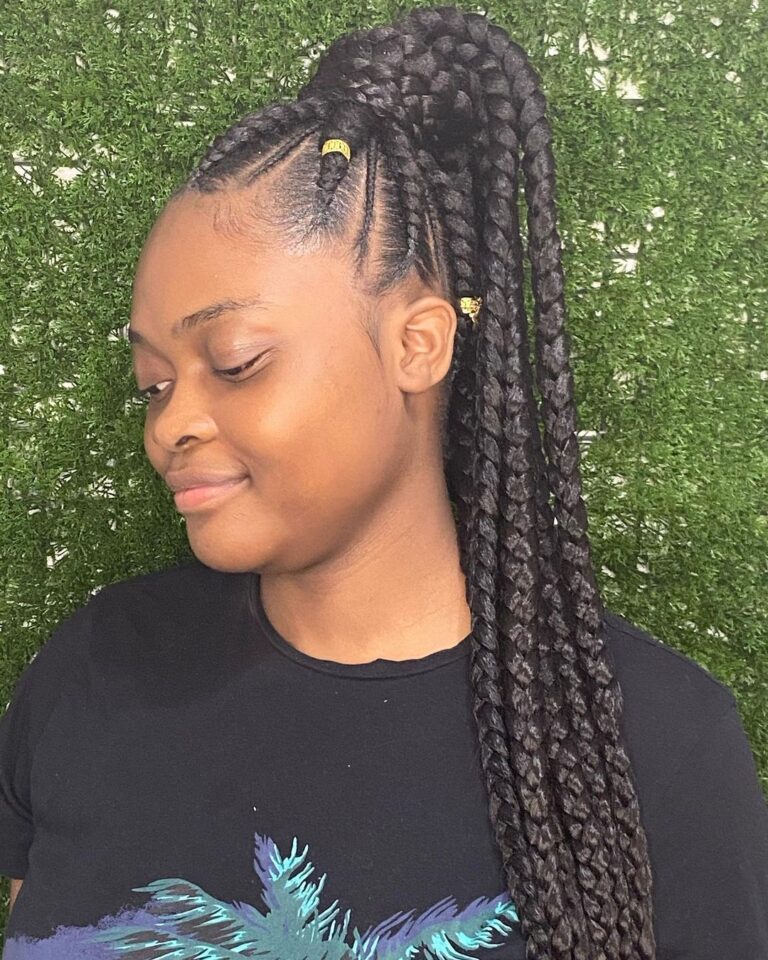 34 Braided Hairstyles Every Fashionista Will Love in 2024