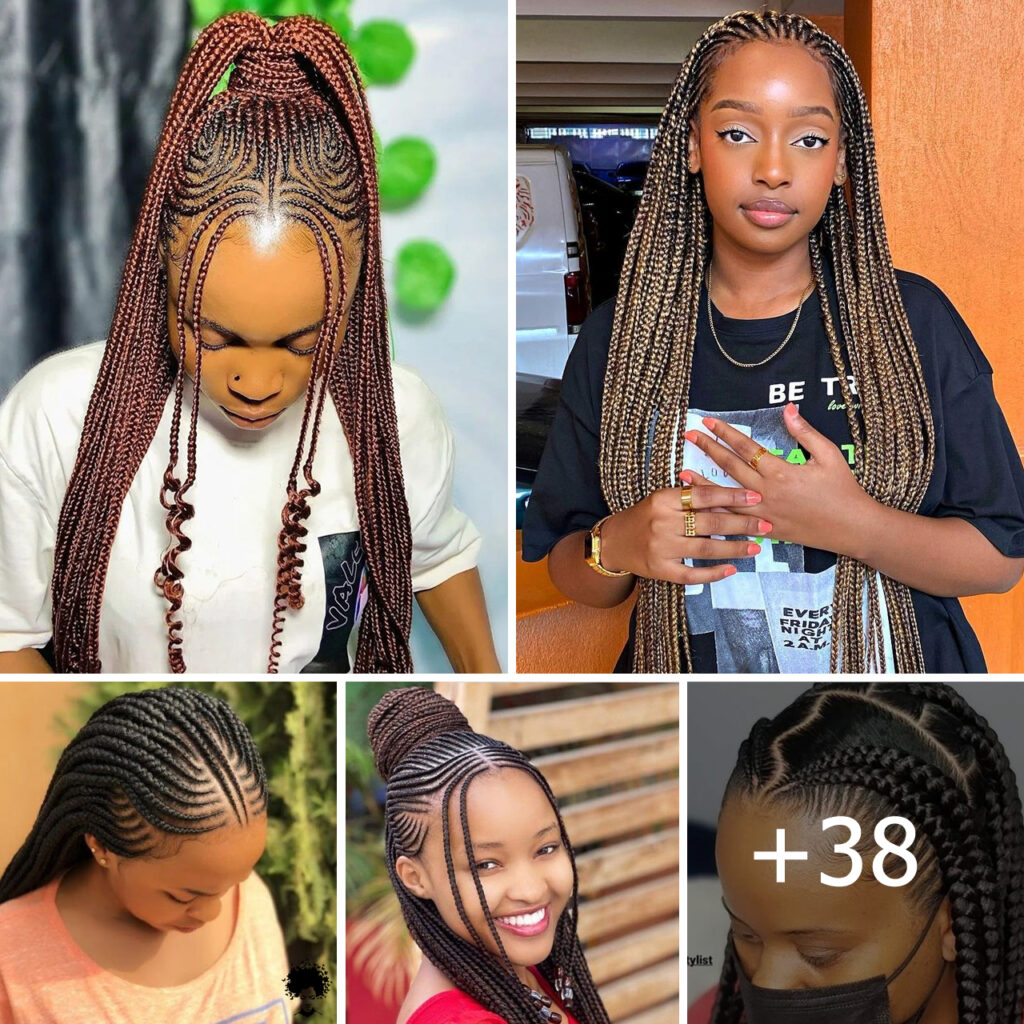 Explore Braided Beauty: 38 New Styles for Every Occasion – Braids ...