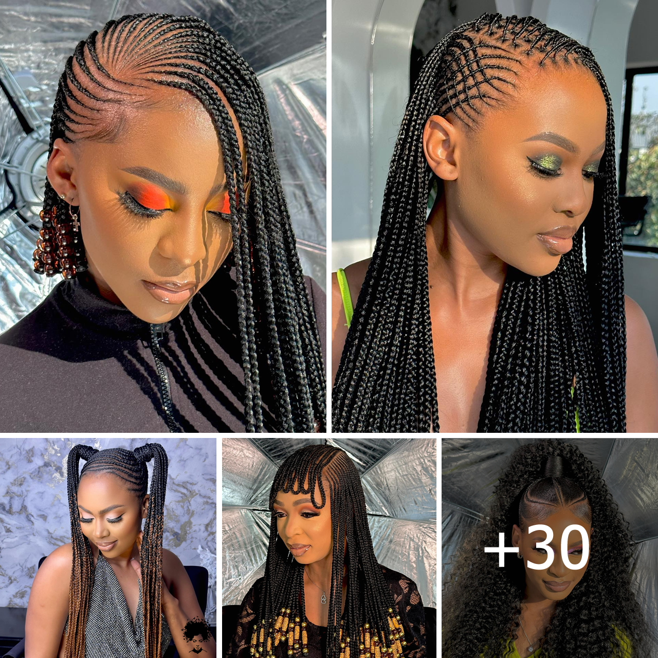 +30 Stylish Braided Hairdos Perfect for All Occasions – Braids ...