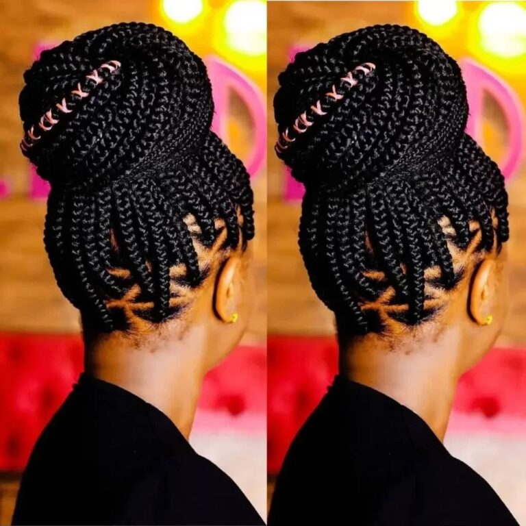 + 53 Beautiful Braided Hairstyles for Natural and Relaxed Hair