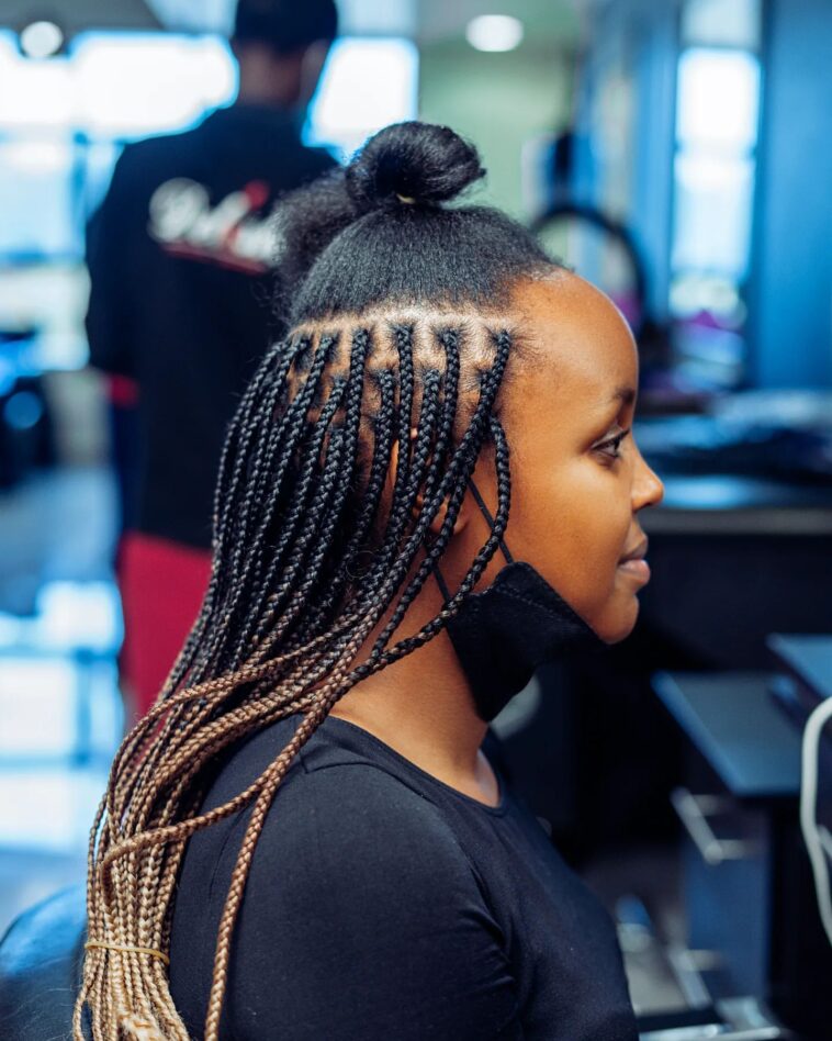Eye-Catching Braided Hairstyles for a Stylish New Look – Braids ...