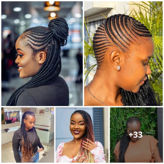 Eye-Catching Braided Hairstyles for a Stylish New Look – Braids ...
