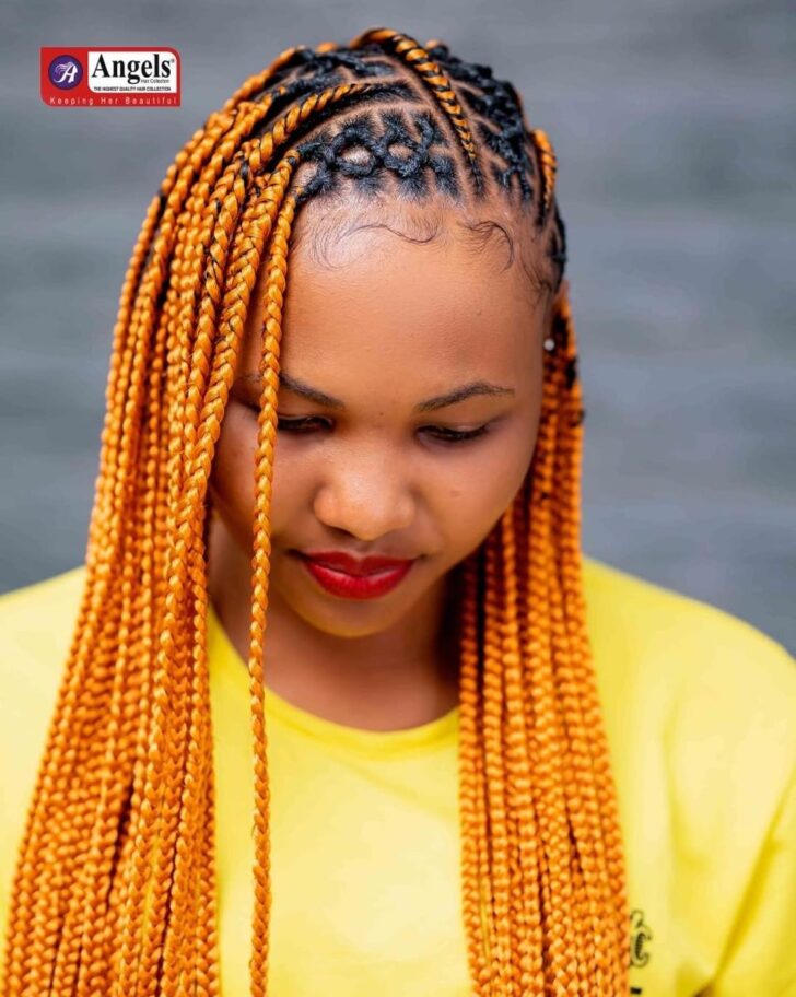[GALLERY] 66 Braided Hairstyles 2024 Pictures – Braids Hairstyles for Kids